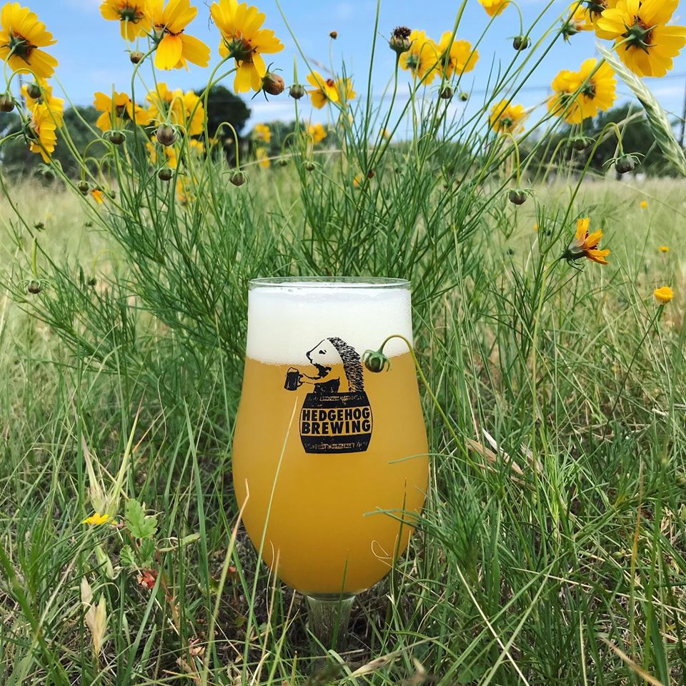 Craft Beer Austin | Hedgehog Brewing Announces Closure