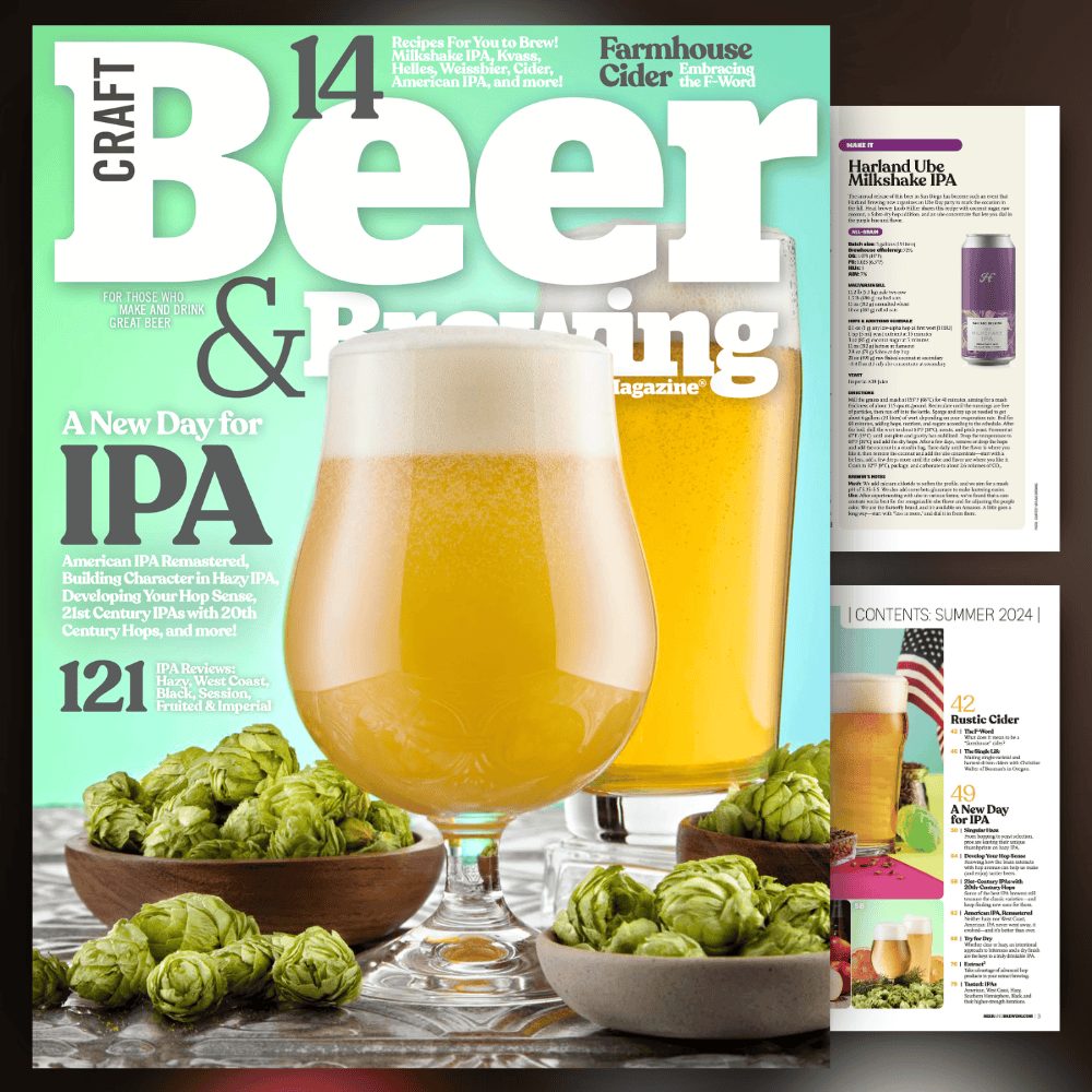 Craft Beer Austin | A New Day for IPA | Craft Beer and Brewing
